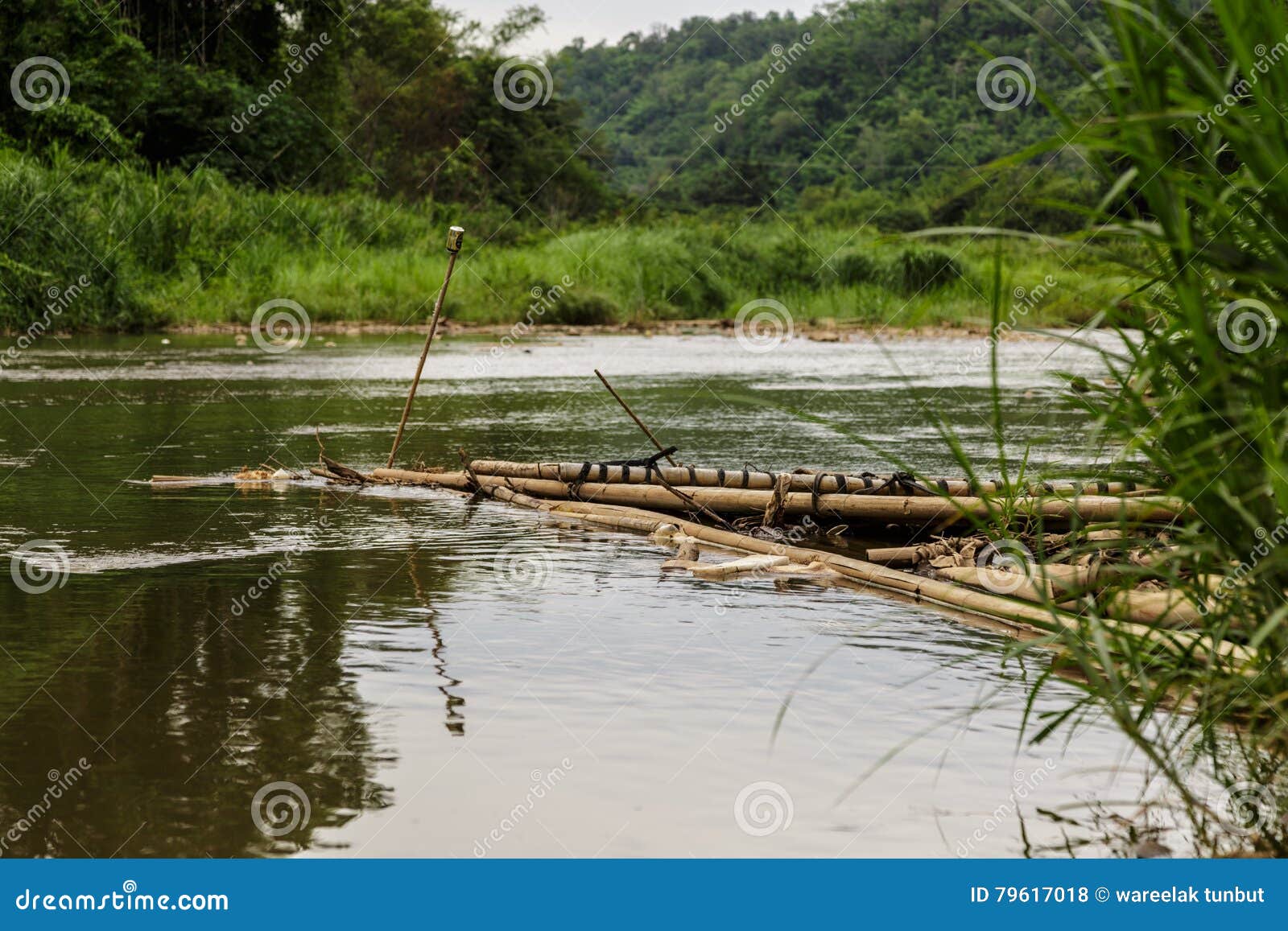 Old bamboo raft in river stock photo. Image of bamboo - 79617018