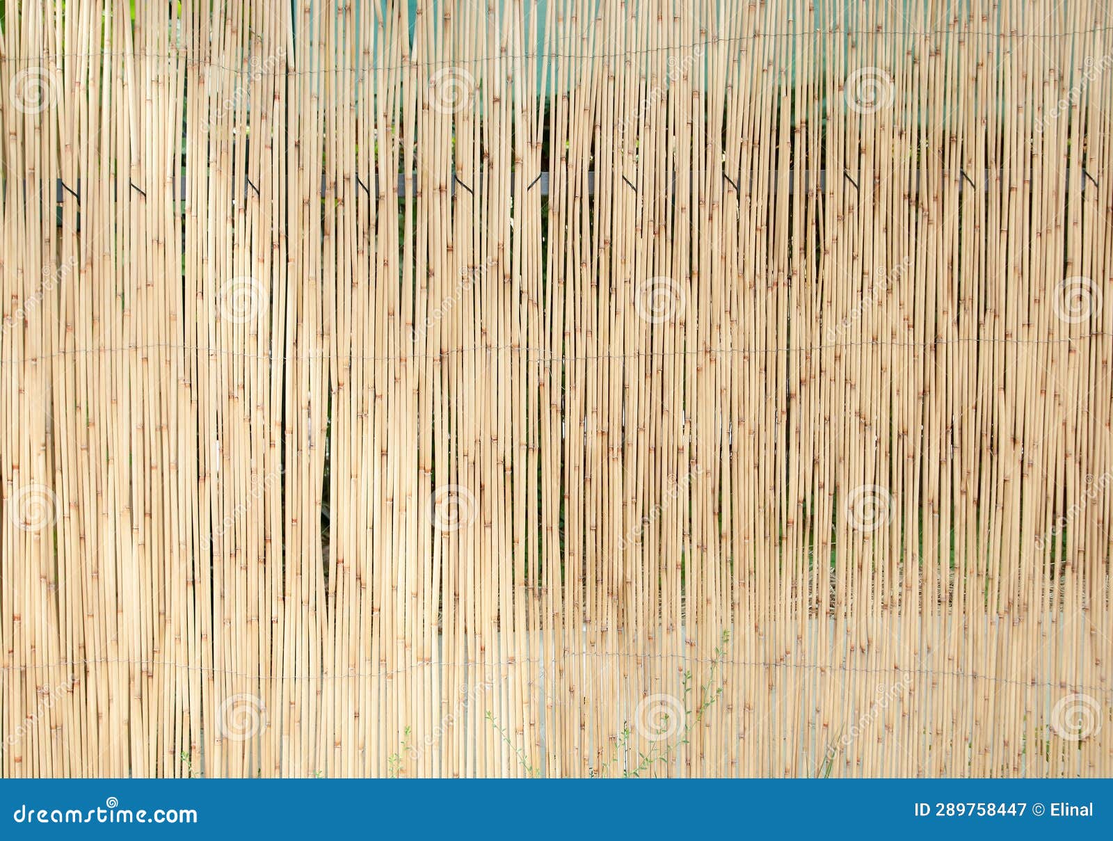 Old Bamboo Reed Texture. Cane Pattern Stock Image - Image of decor ...