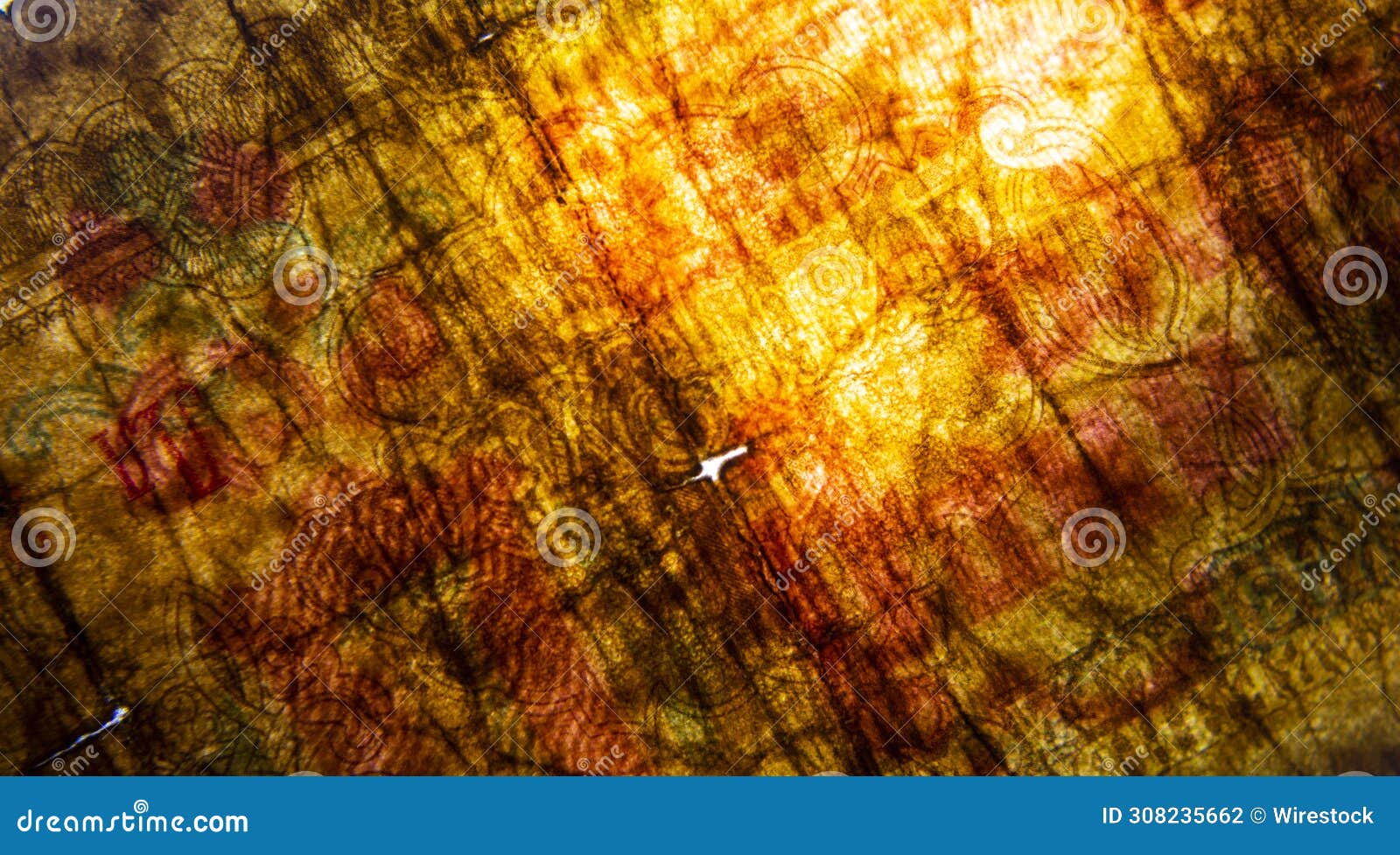 Old Banknote Background, Currency, Great Details Stock Photo - Image of ...