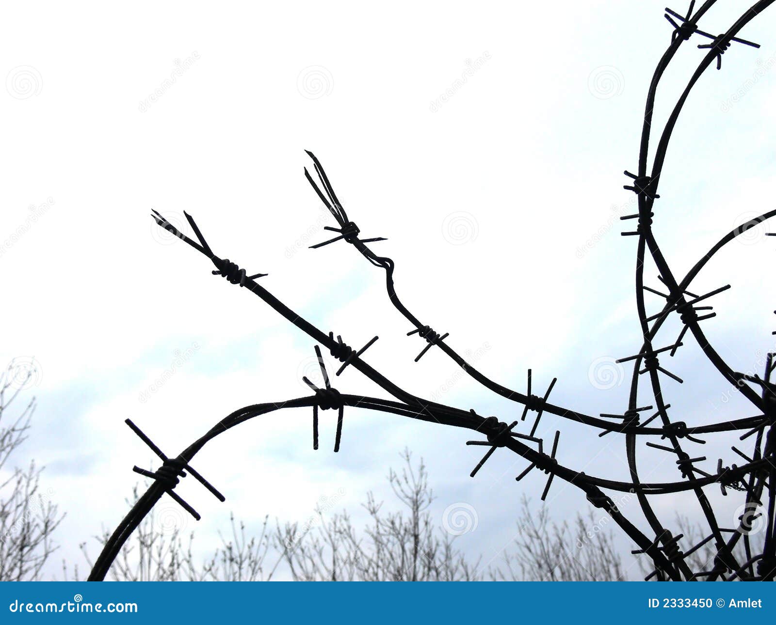 Old barbed wire stock photo. Image of infringer, object - 2333450