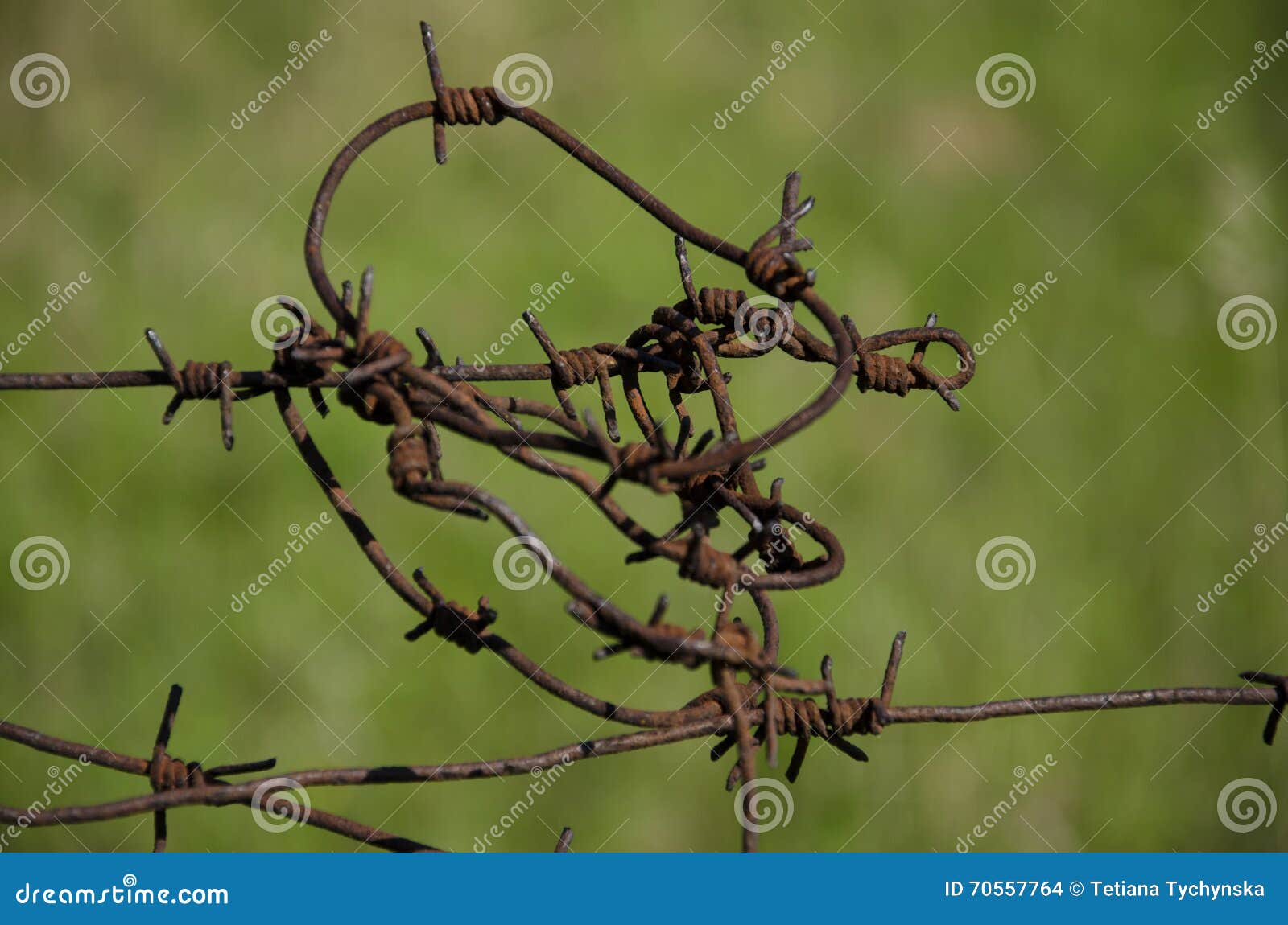 An Old Barbed Wire on the Abandoned Territory Stock Photo - Image of ...