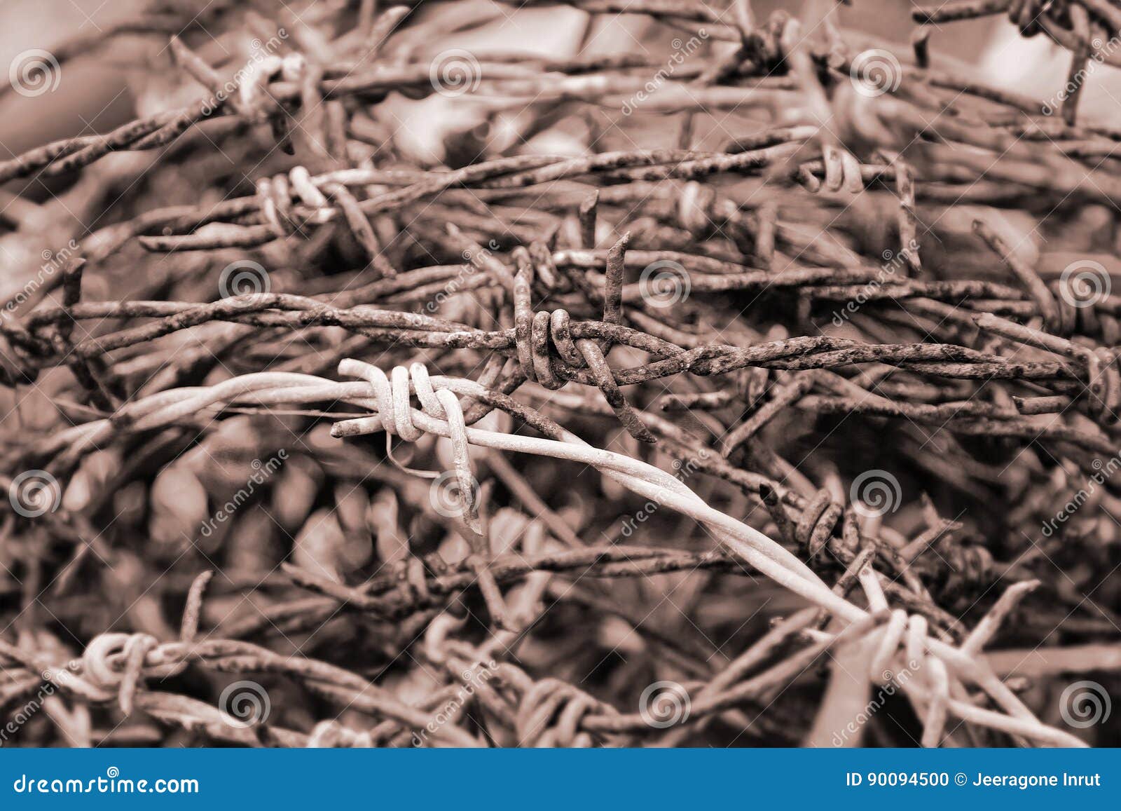 Old the barbed wire stock photo. Image of barbed, wire - 90094500