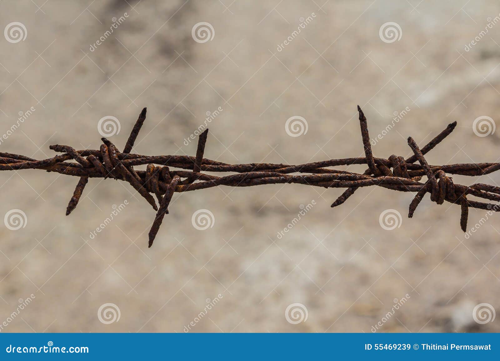 Old barbed wire stock image. Image of barbed, iron, rusty - 55469239