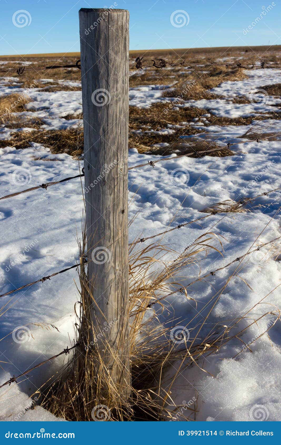 Old Barbed Wire Fence Post, Alberta Canada Stock Photo - Image of ...