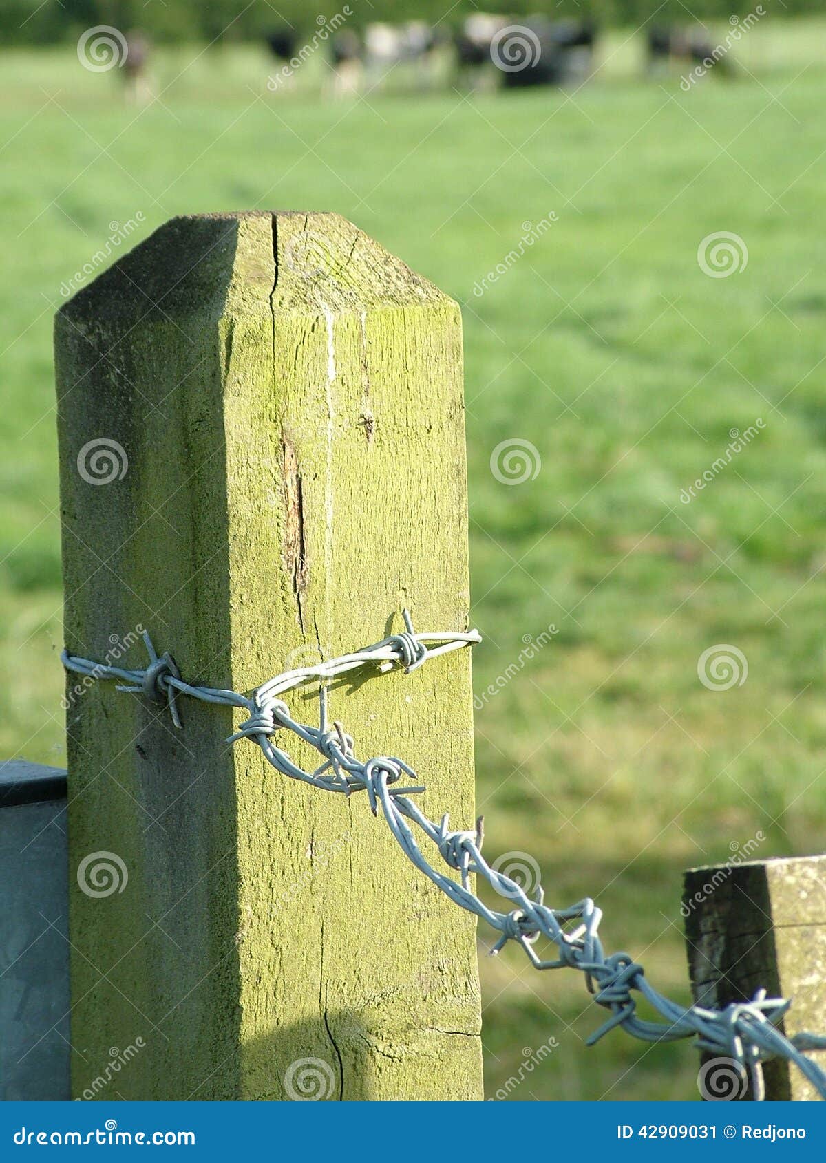 Old Barbed Wire Fence Post by Farm Stock Image - Image of bark, green ...