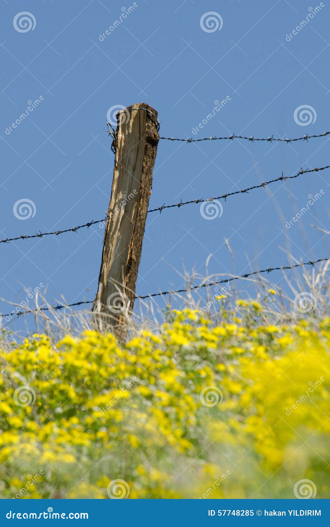 An old barbed wire fence stock image. Image of dirty - 57748285