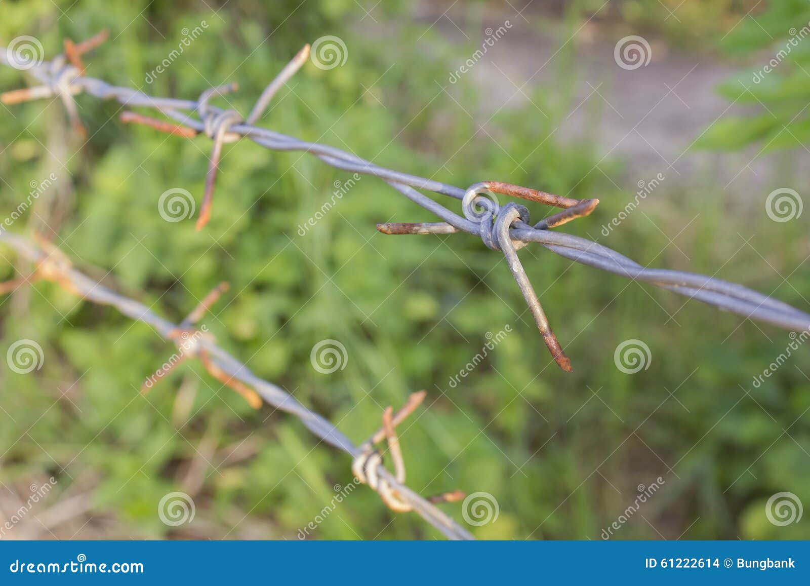 Old barbed wire stock photo. Image of barb, iron, security - 61222614