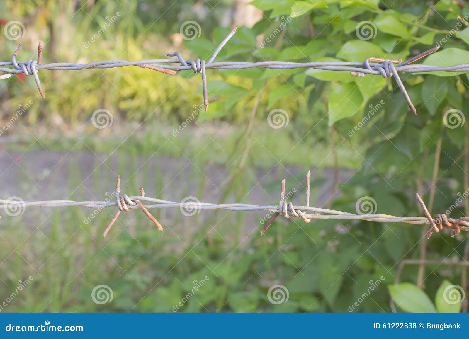 Old barbed wire stock photo. Image of iron, prison, country - 61222838