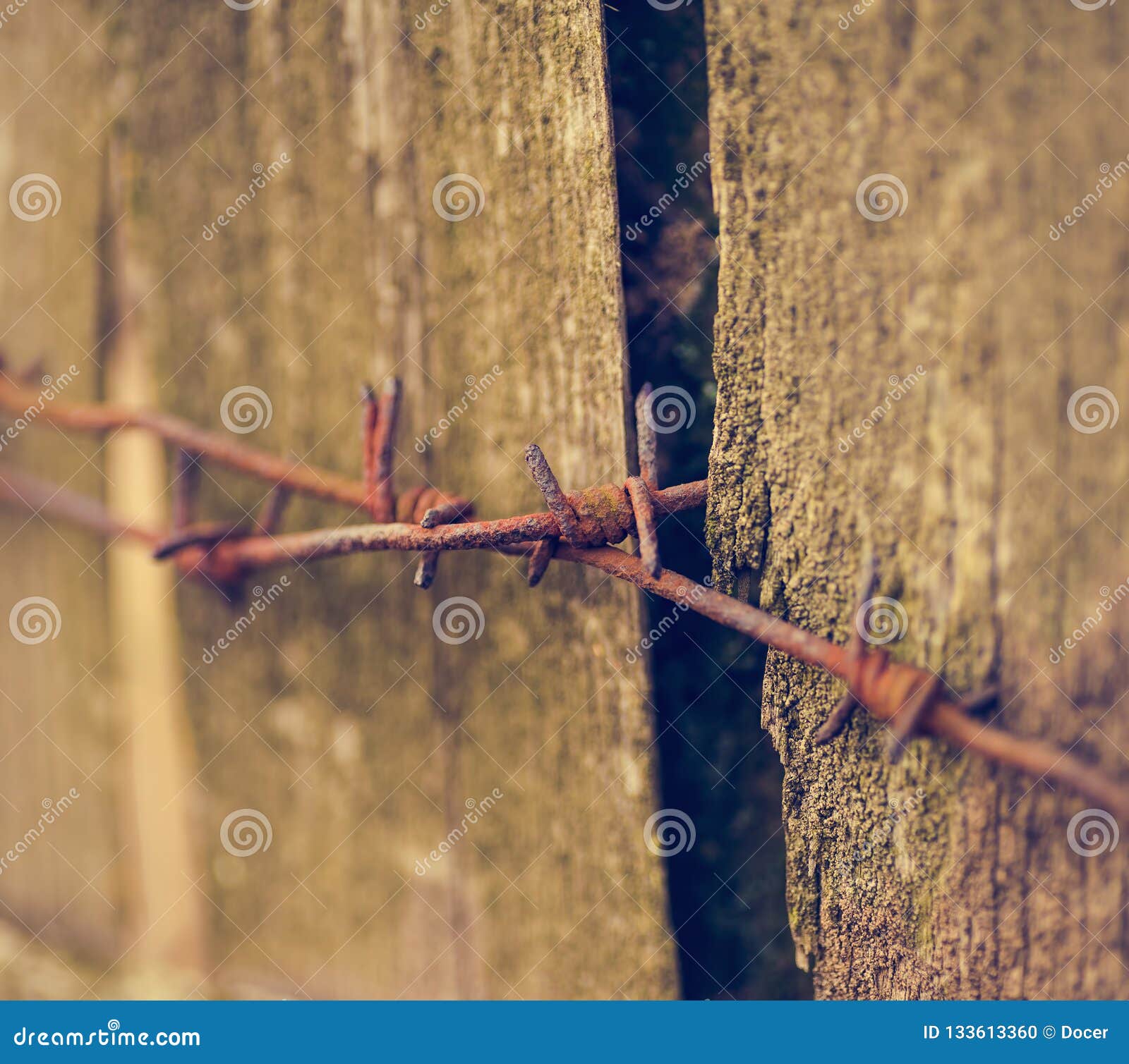 Old Barbed Wire on Wood Fence Stock Photo - Image of wall, backgrounds ...