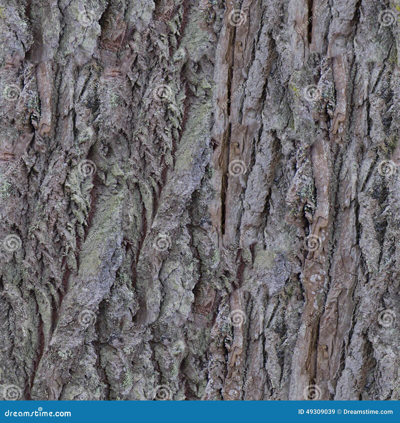 Old Bark Seamless Texture stock image. Image of tree - 49309039