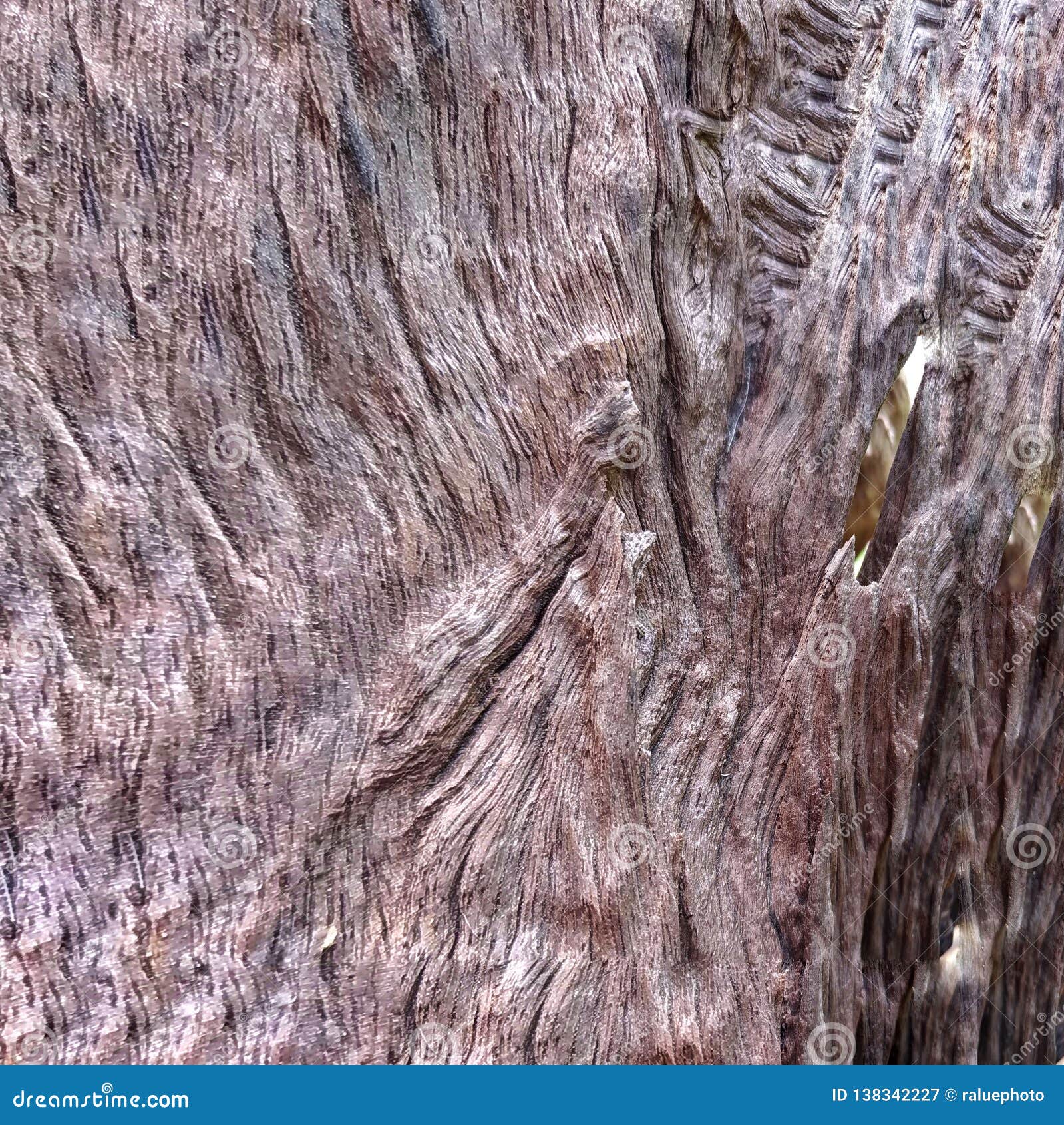 Old Bark and Wood Texture and Beautiful Natural Patterns Stock Image ...