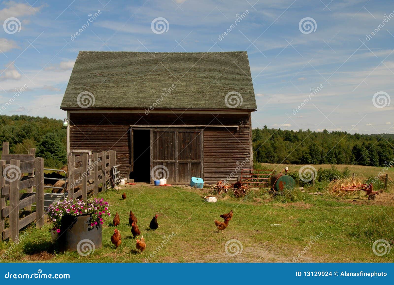 Old Barn stock photo. Image of growing, barn, country - 13129924