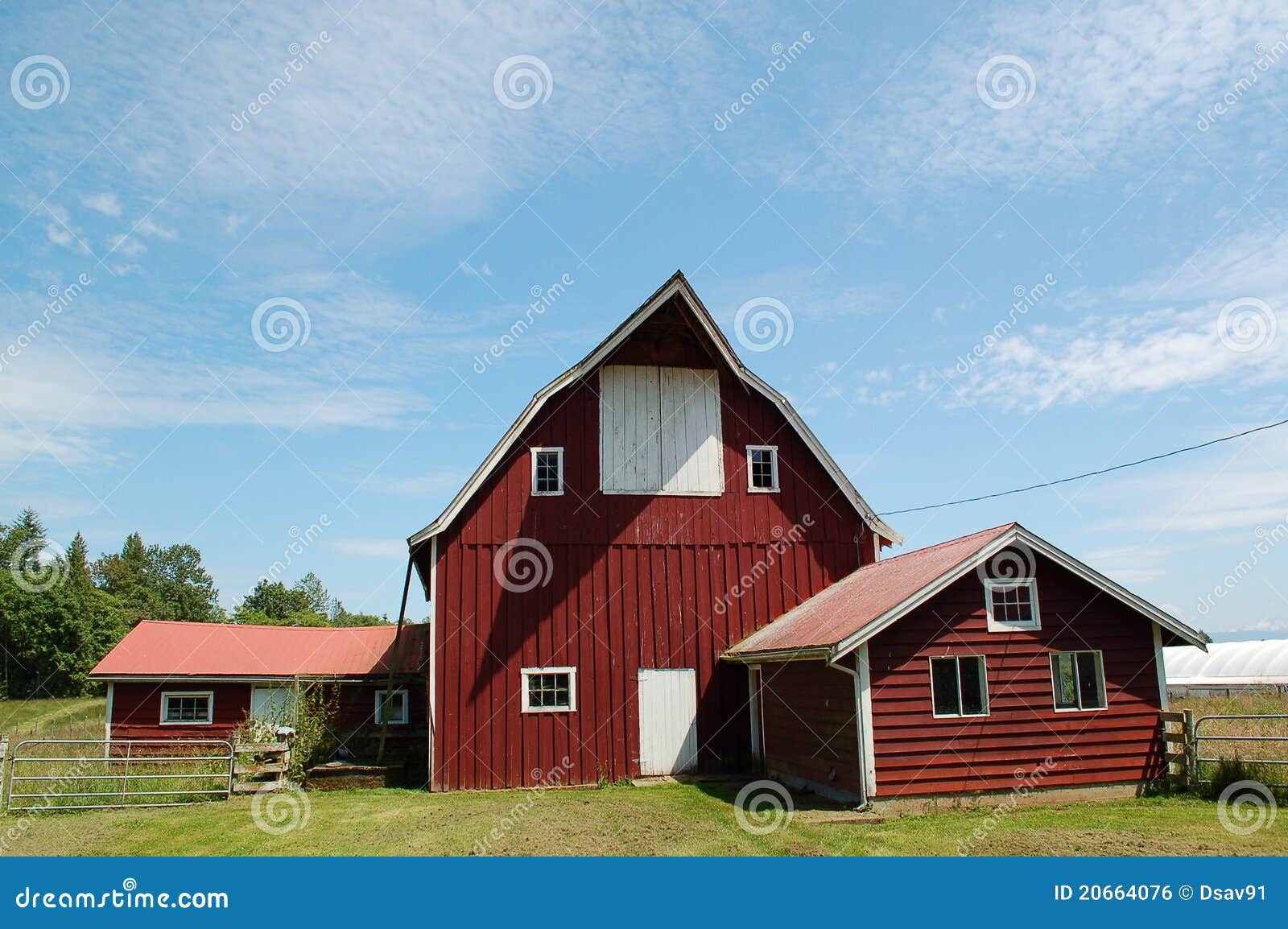 Old Barn stock photo. Image of cattle, farming, barn - 20664076