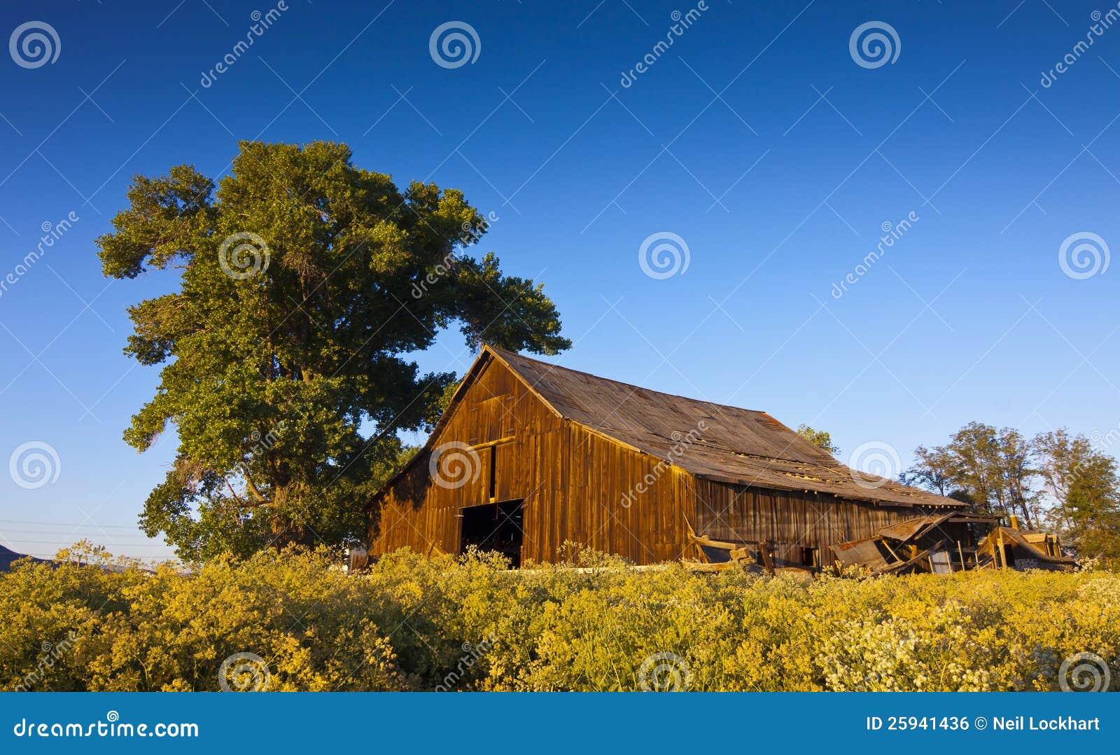 Old Barn stock photo. Image of rural, farmyard, architectural - 25941436