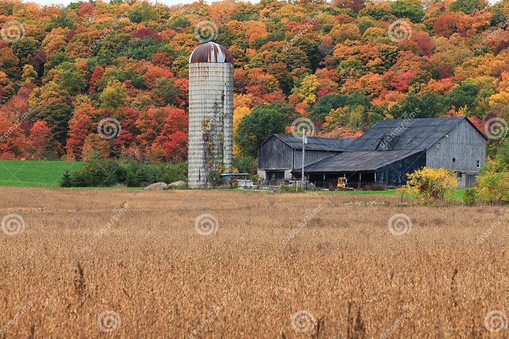 Old barn in autumn stock image. Image of beautiful, change - 27396779