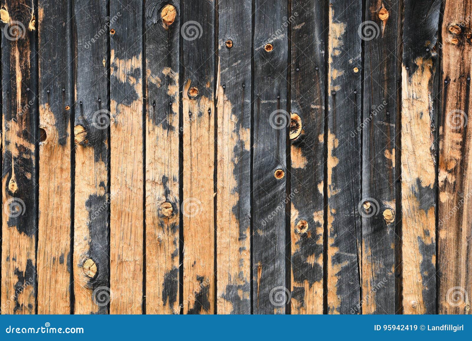 8,266 Rotten Board Stock Photos - Free & Royalty-Free Stock Photos from ...