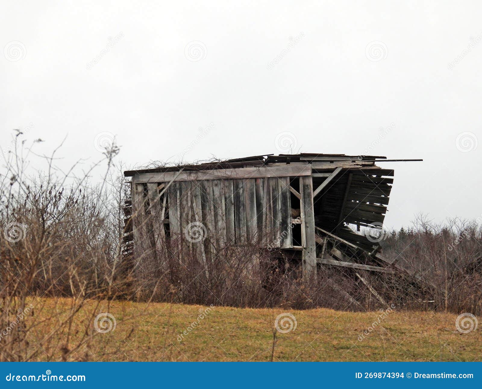 Old Farm Shed Building Falling Down in Fingerlakes Late Winter Stock ...