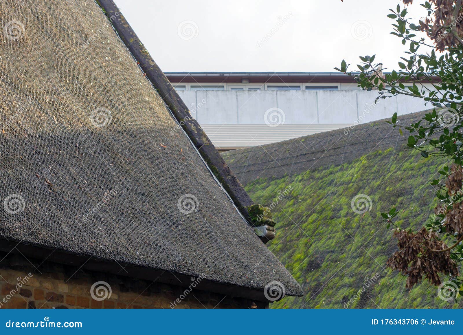 Old Barn Building Roof Texture in England Uk Stock Photo - Image of ...
