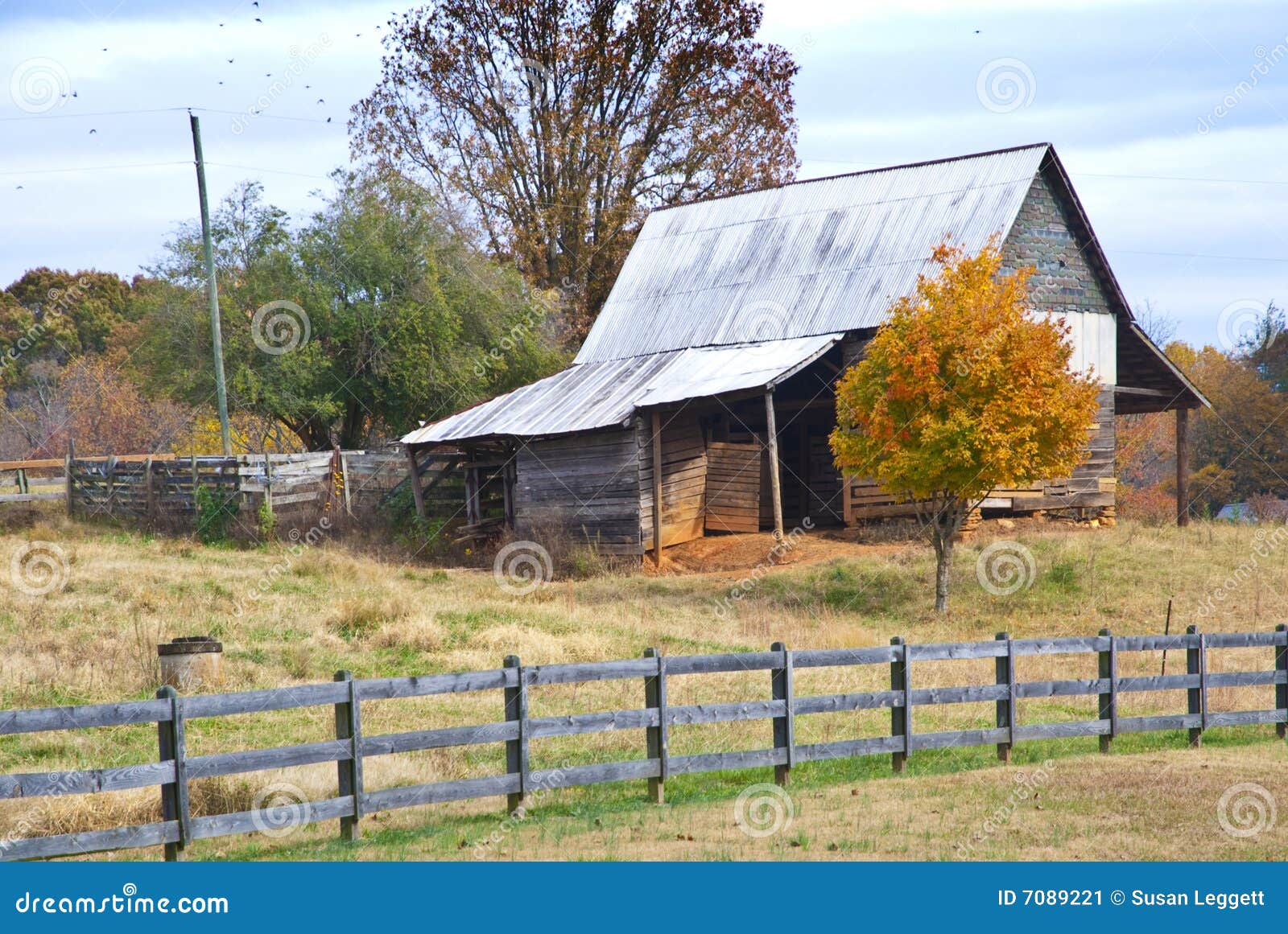 Old Barn/Colorful Tree stock image. Image of corral, birds - 7089221