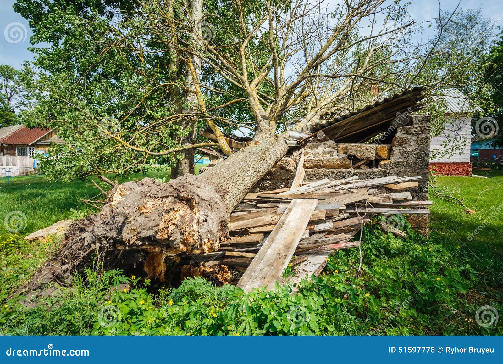 Old Barn Damaged by Recent Hurricane Stock Photo - Image of damaged ...