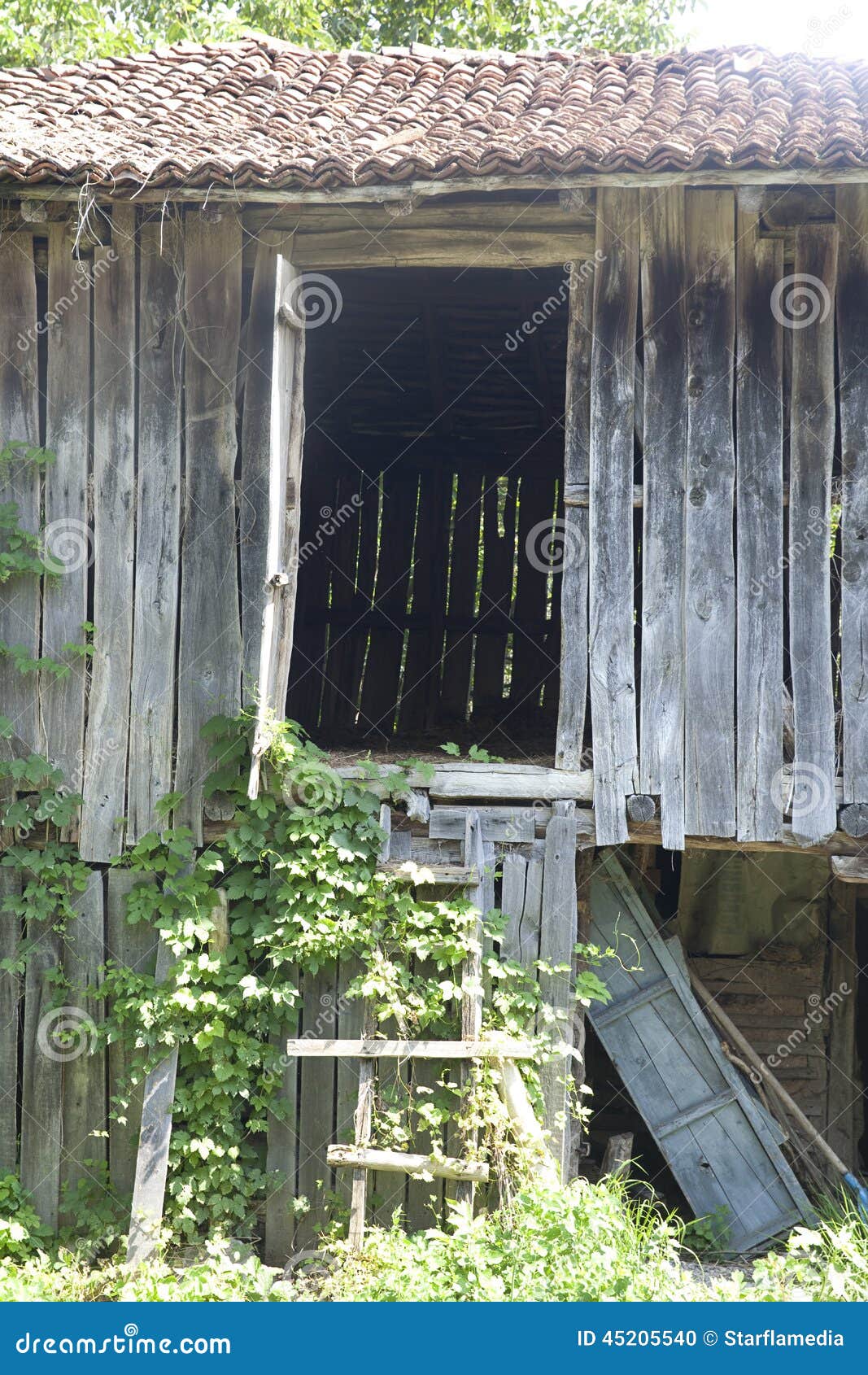 Old Barn Door stock photo. Image of abandoned, bulgaria - 45205540