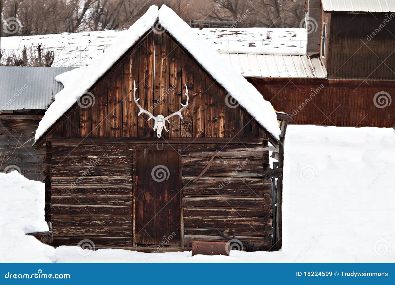 Old Barn with Elk Antlers in Winter Stock Image - Image of bones ...