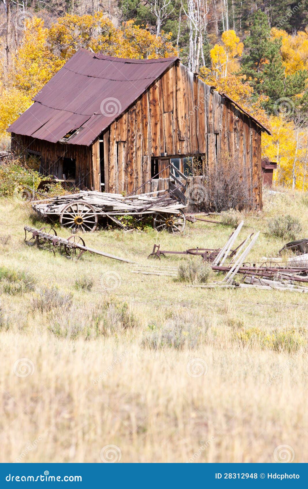 Old Barn in Fall stock photo. Image of tired, tree, nature - 28312948