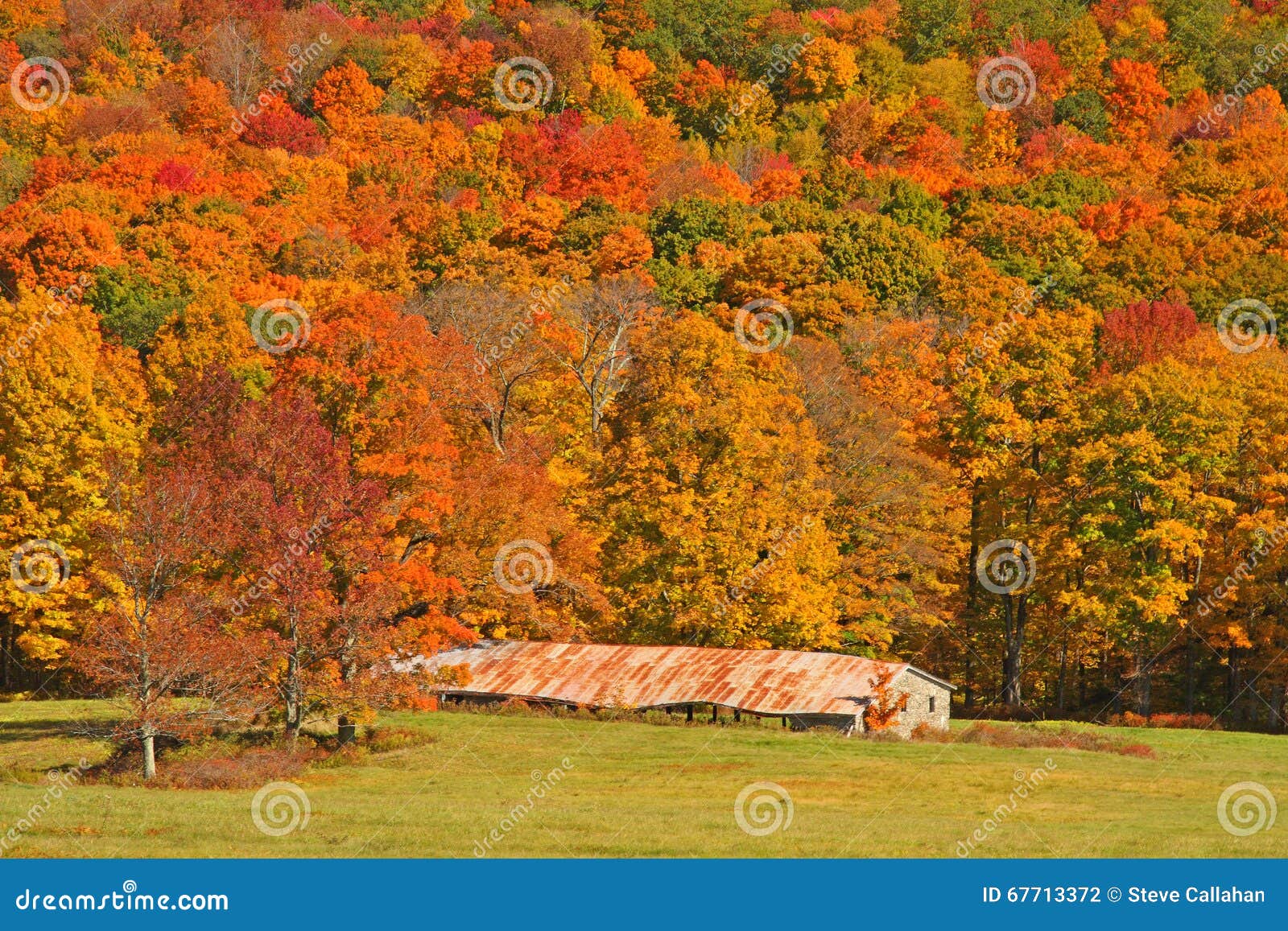 Old Barn and Fall Colors on Hillside Stock Photo - Image of green ...