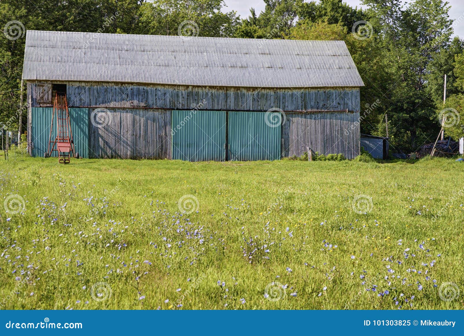 Old barn on a farm stock image. Image of rustic, space - 101303825