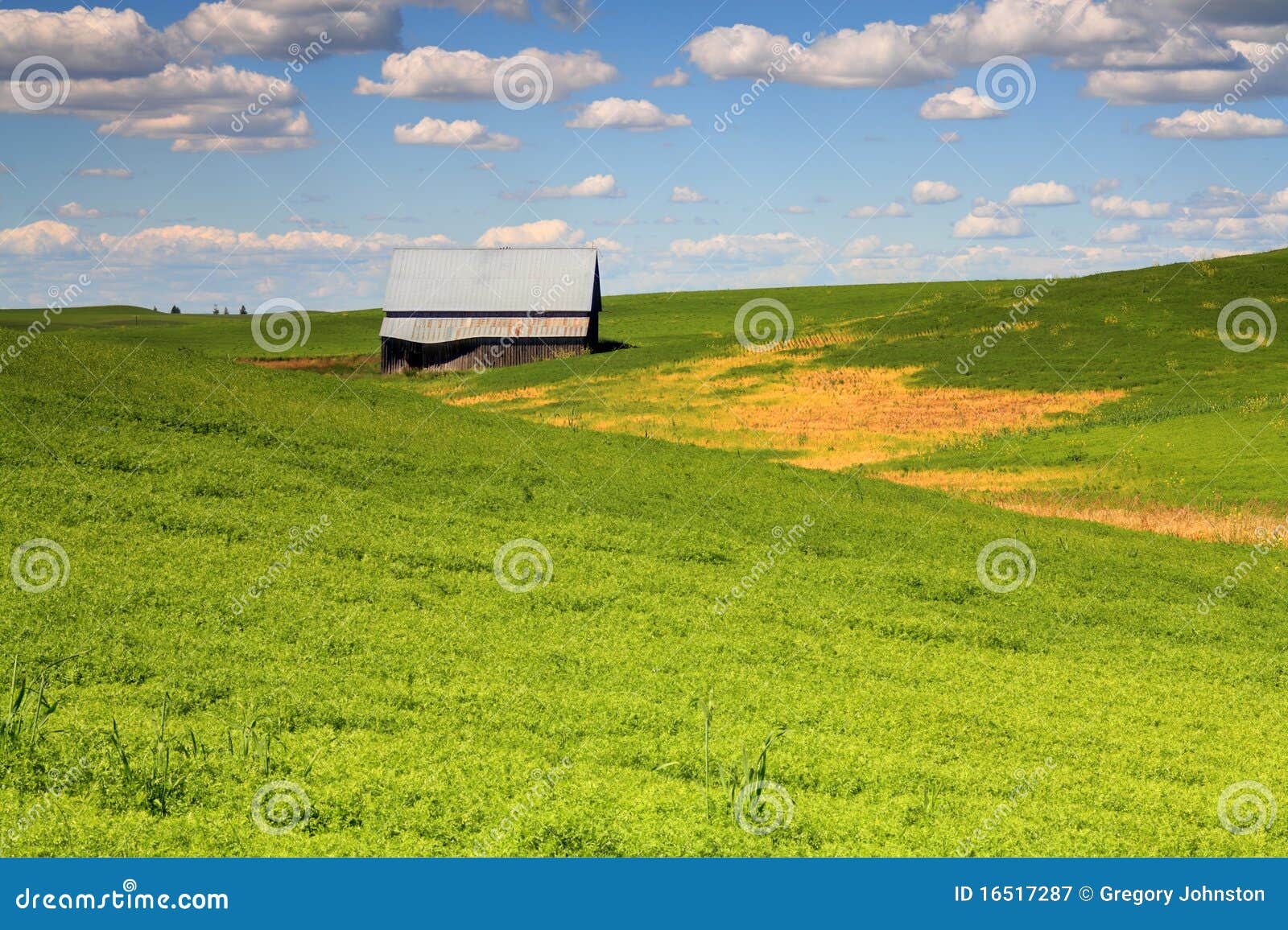 Old barn in a field. stock image. Image of crop, farmland - 16517287