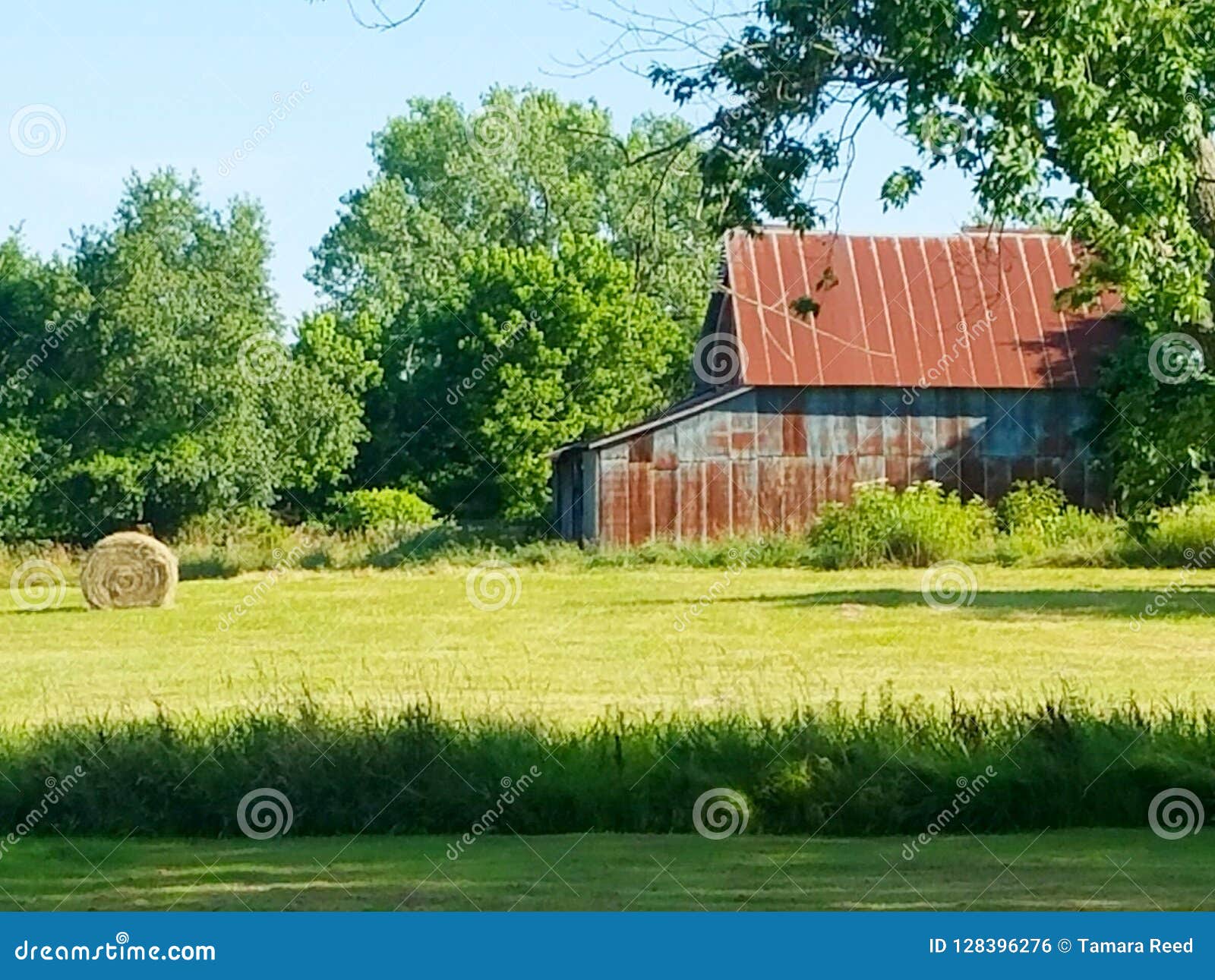 Old Barn Field Stock Photos - Download 12,411 Royalty Free Photos