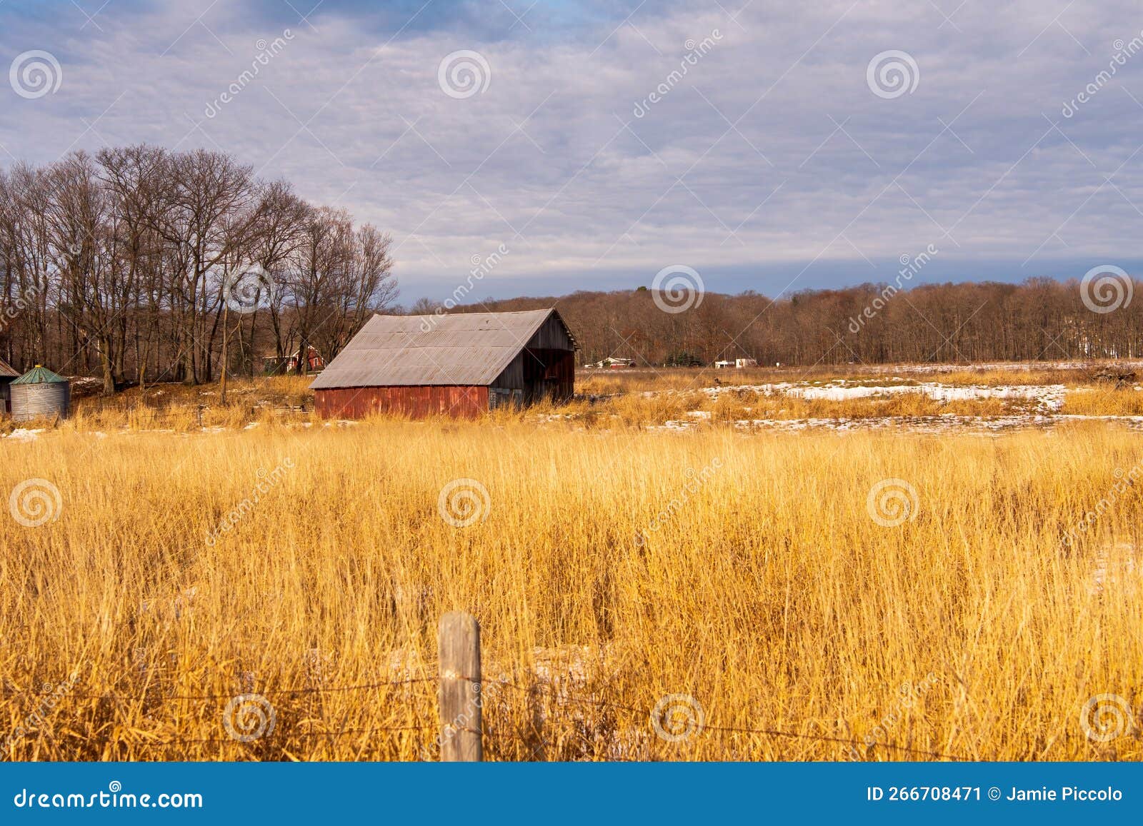 Old Barn in a Field with High Grass Stock Image - Image of field, grass ...