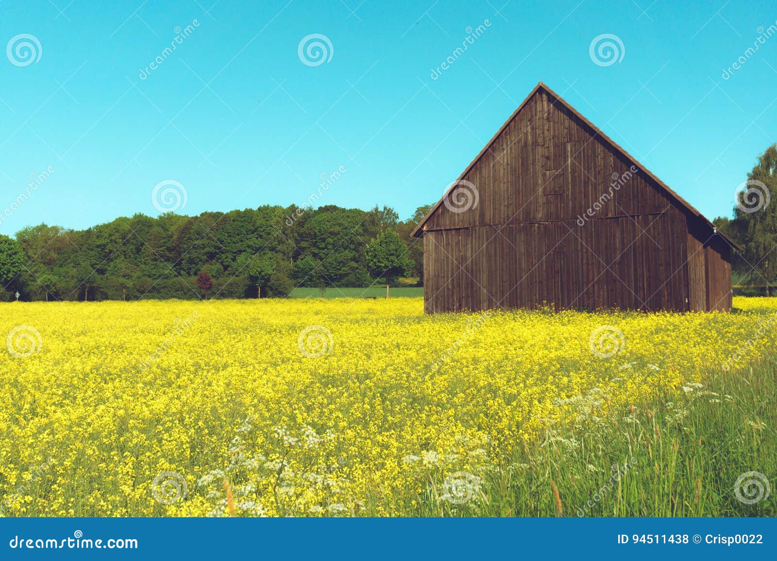 Old barn in the field stock photo. Image of barn, field - 94511438