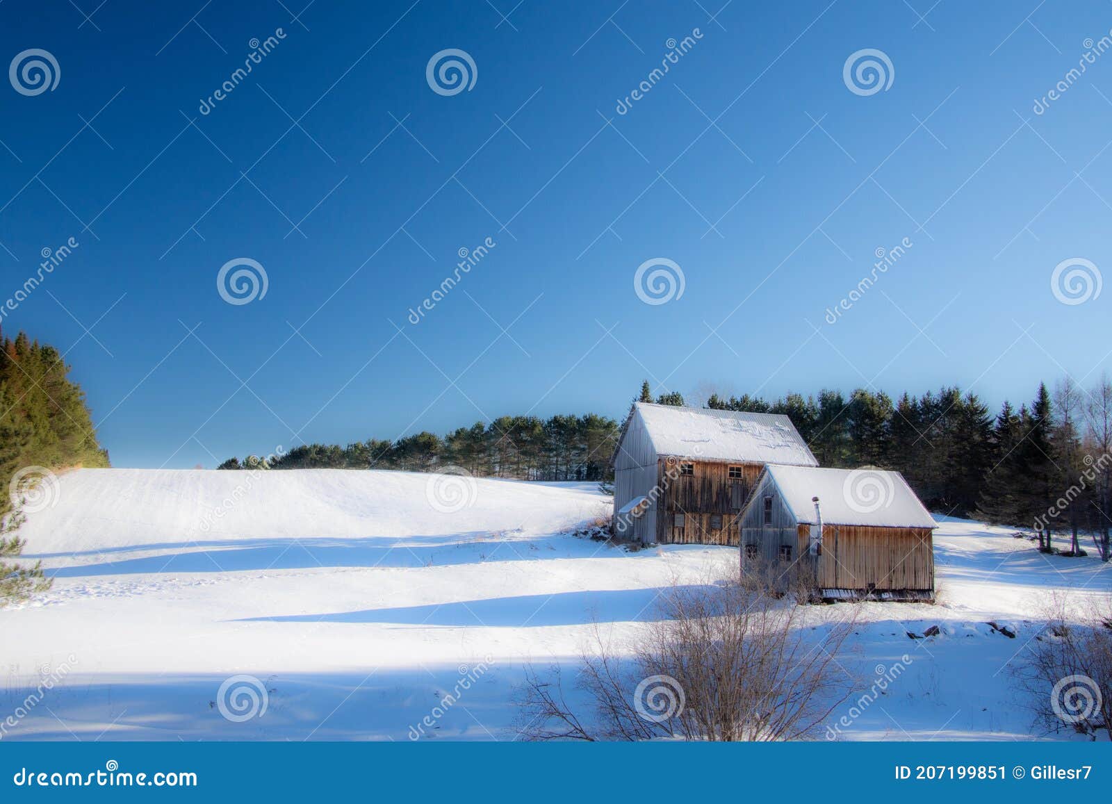 Old Barn in a Field during Quebec Winter in Canada Stock Image - Image ...