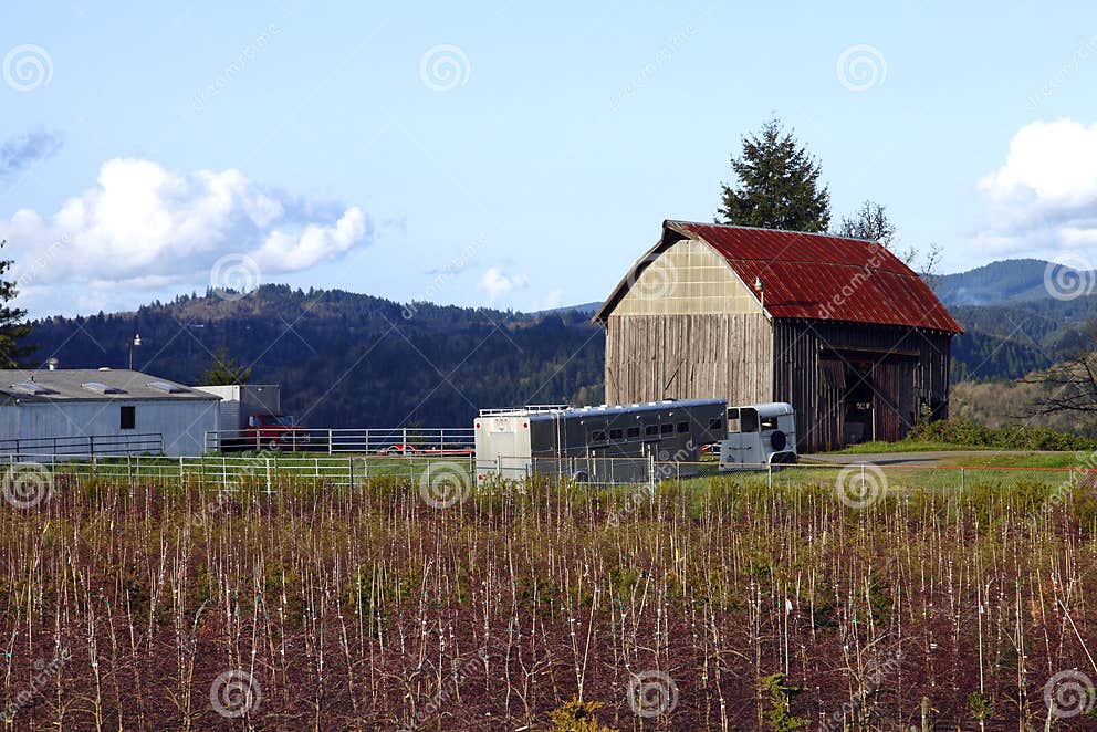 Old barn house. stock image. Image of horse, area, wood - 13811671