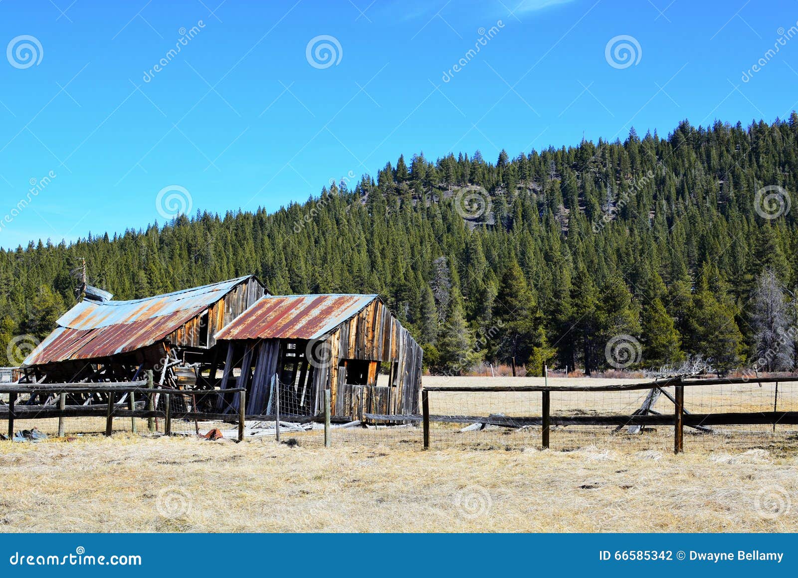 Old barn in the mountains stock photo. Image of california - 66585342