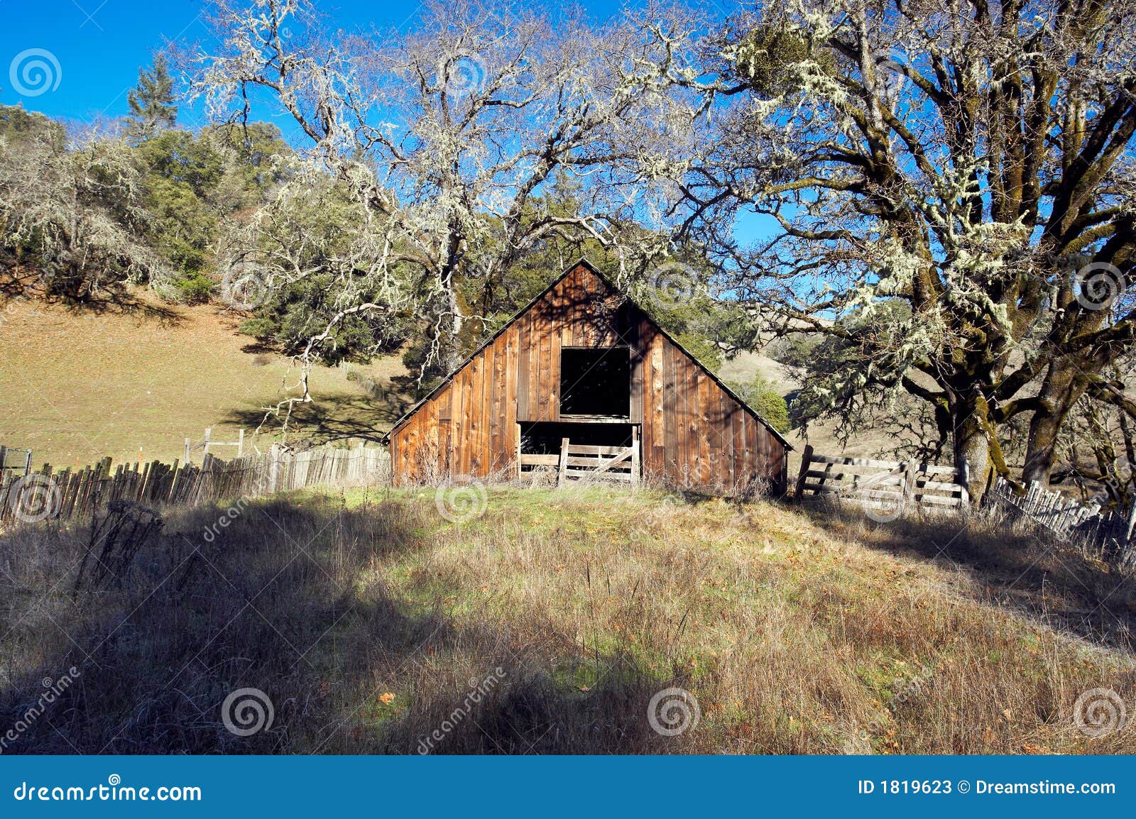 Old Barn and Oak Trees stock image. Image of lightart - 1819623