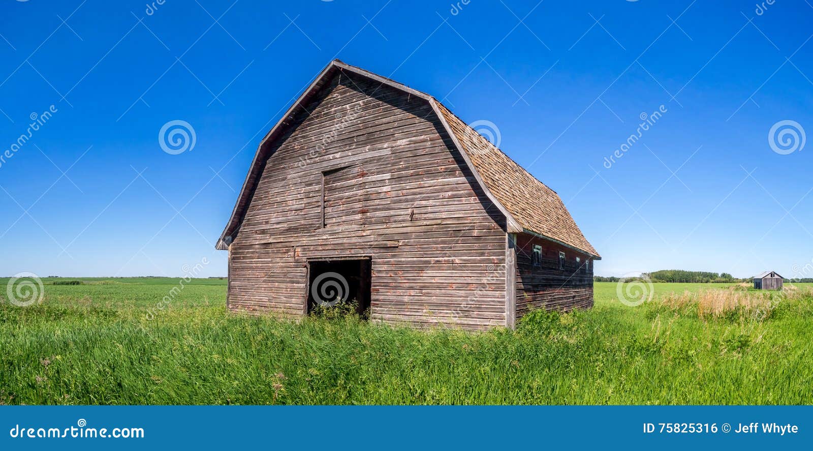Old barn on the prairies stock photo. Image of bright - 75825316