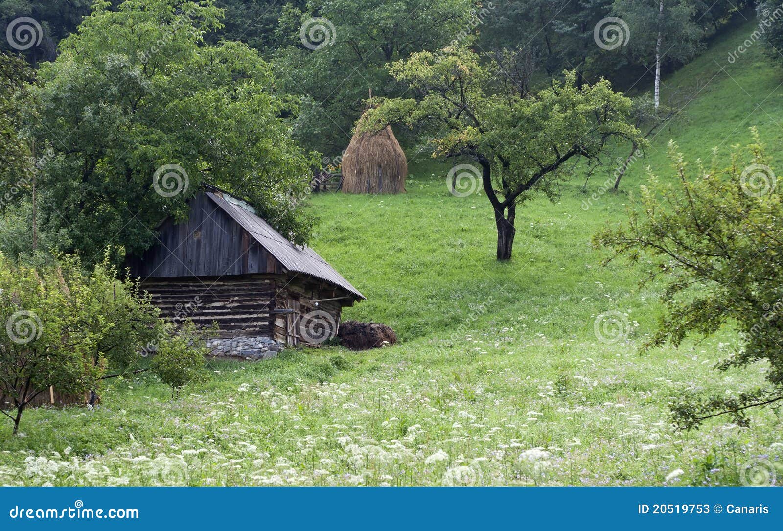 Old barn, raw stock image. Image of hill, outdoor, nature - 20519753