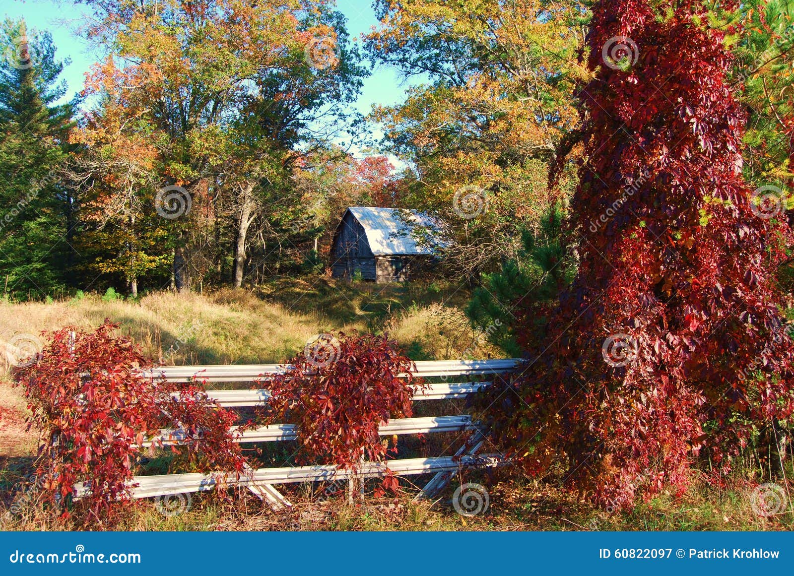 Old barn stock image. Image of abandoned, barn, vines - 60822097