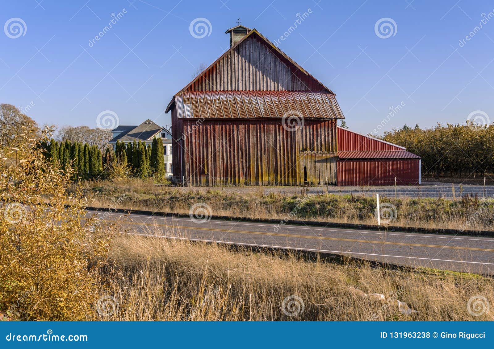 Old Barn on a Roadside Oregon Stock Photo - Image of willamette ...