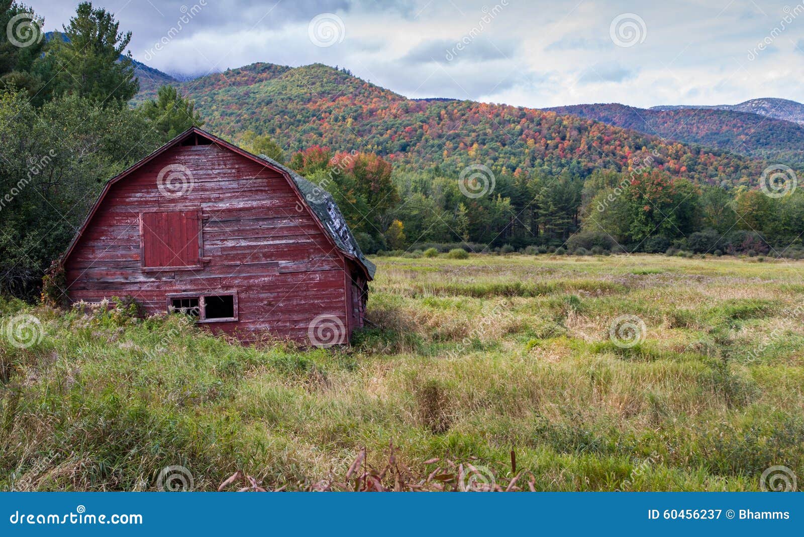 Old Run Down Barn