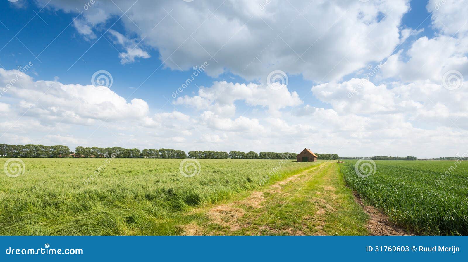 Old Barn in a Rural Landscape Stock Image - Image of farming, outdoor ...