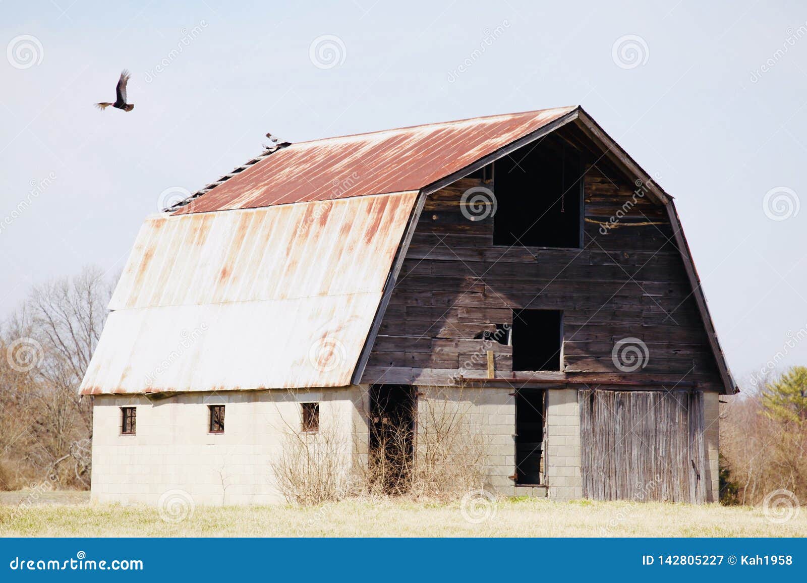 Old Barn stock image. Image of metal, roof, barn, rusty - 142805227