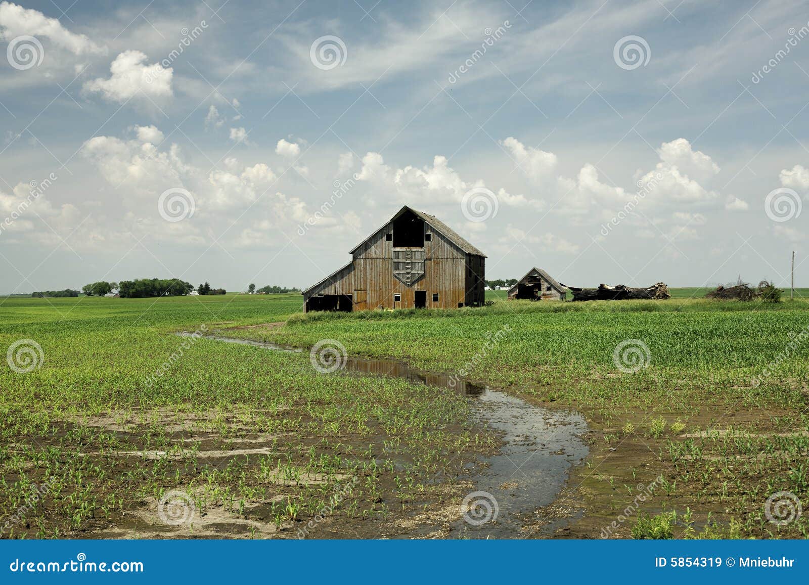 Farm Field Barn