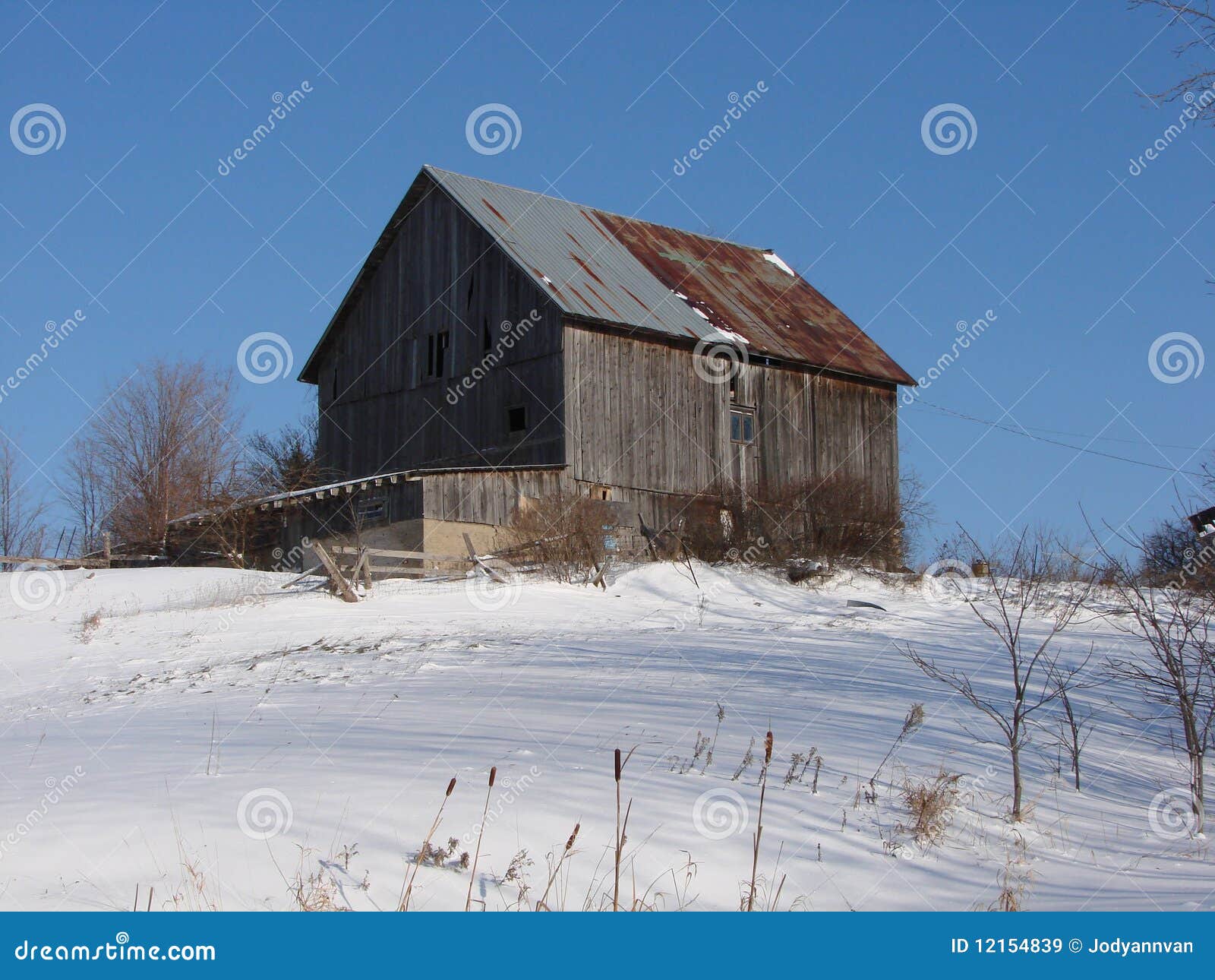 Old barn in snow stock image. Image of trees, barn, weeds - 12154839
