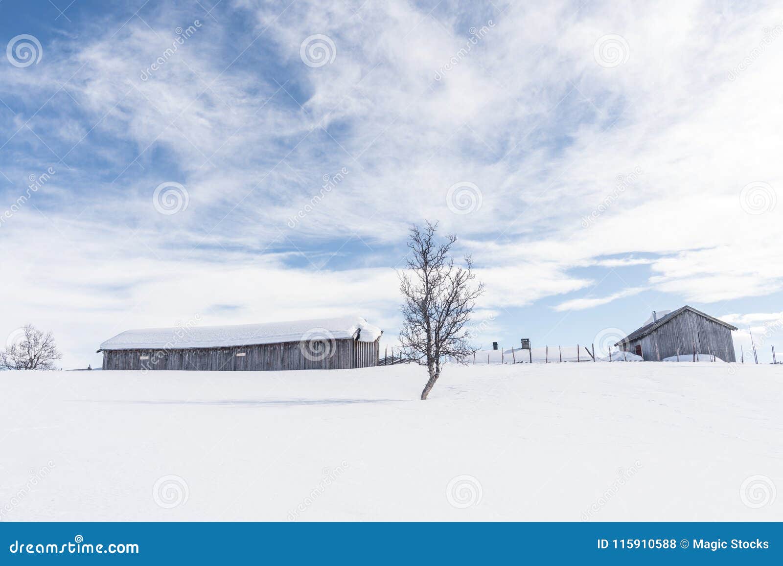 Old barn in the Snow stock photo. Image of cottage, outdoor - 115910588