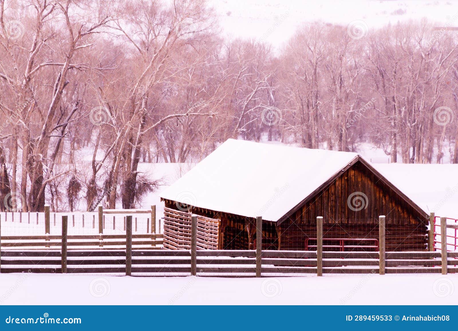 Old barn stock image. Image of ranch, lumber, snow, winter - 289459533