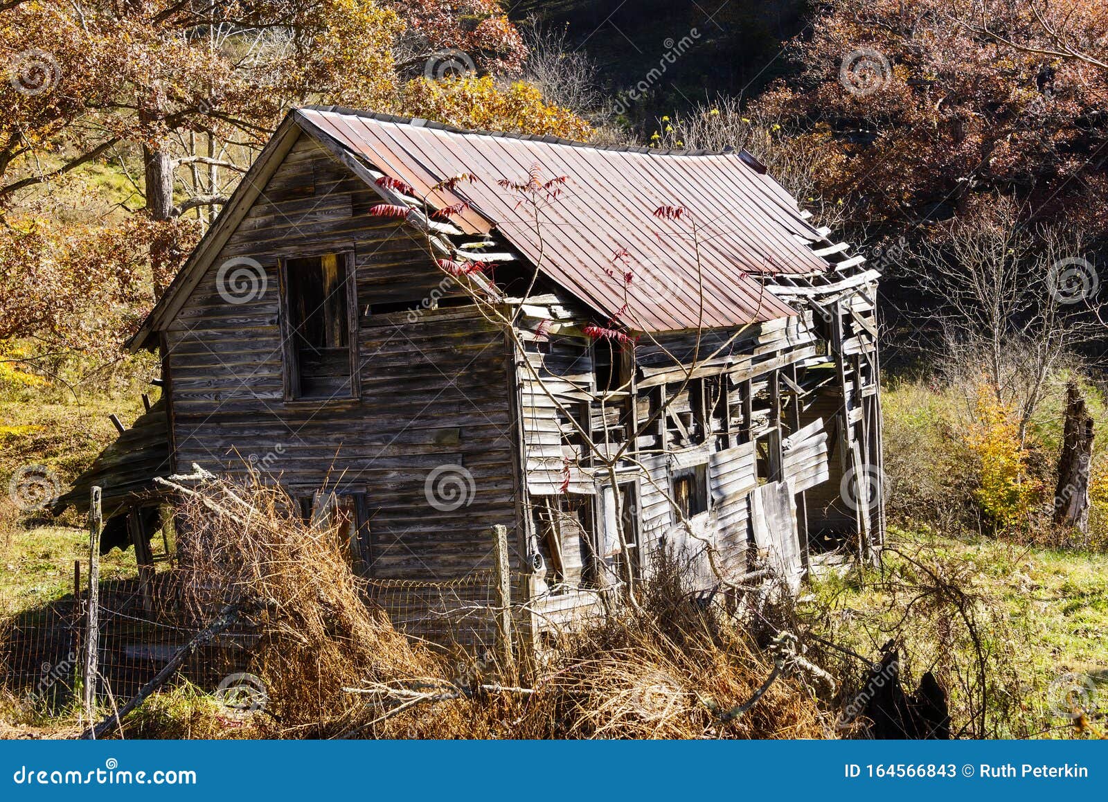 Old Barn Structure Set in the Autumn Countryside Stock Image - Image of ...