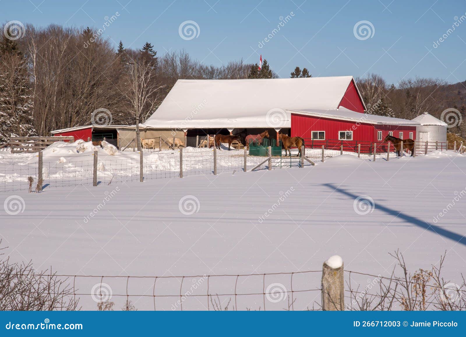 Old Barn Surrounded with Snow Stock Image - Image of roof, blizzard ...